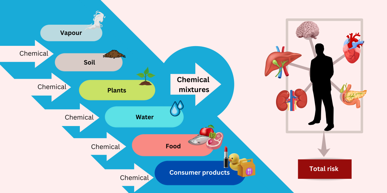 Conferencia: “Mezclas químicas: un reto actual para la Toxicología y la ...